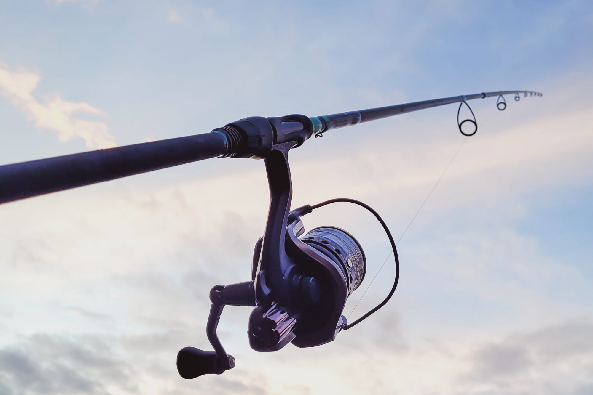 Feeder rod assembly : Steps and tips for a high-performance rod