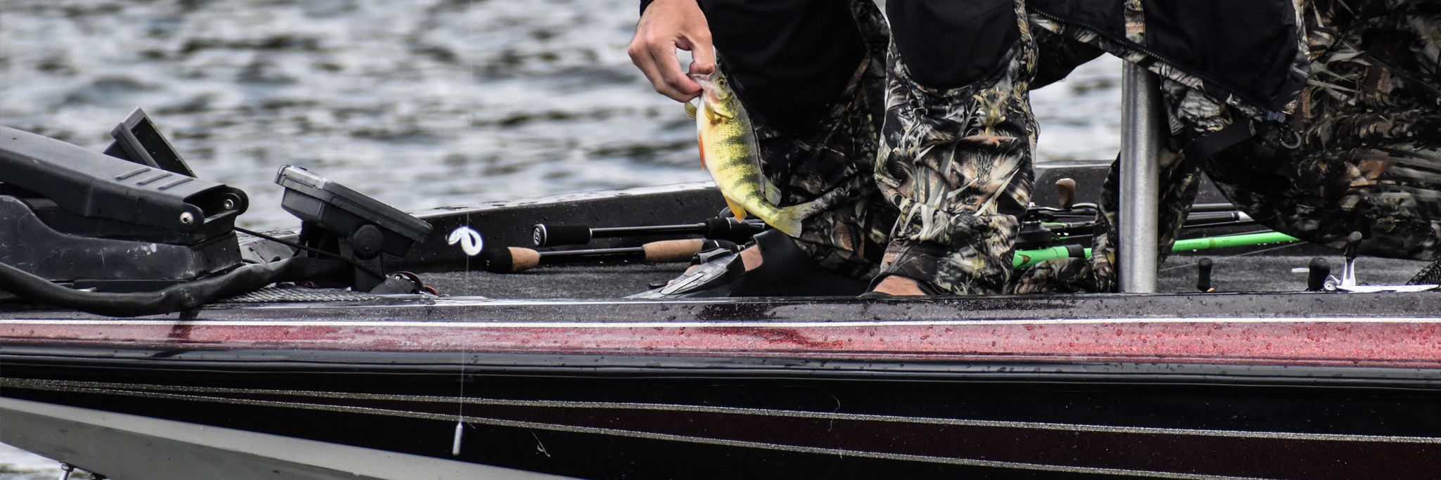 Espacios en blanco para pesca con dropshot